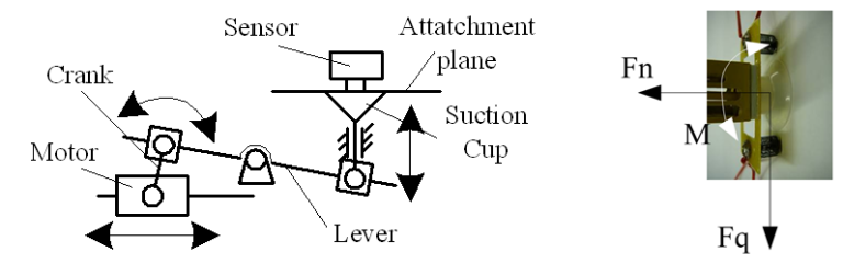 DFG: Biologically Inspired Modular Climbing Caterpillar Robot Using Passive Adhesion (2010-2012 ...