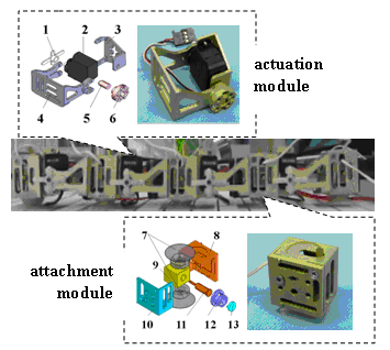 DFG: Biologically Inspired Modular Climbing Caterpillar Robot Using Passive Adhesion (2010-2012 ...